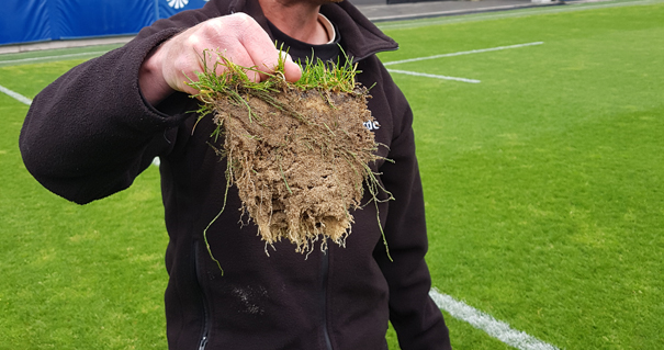 Eurosport Performance Plus – Enracinement Rapide et Profond pour Gazon ...