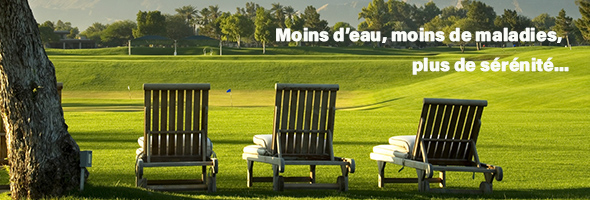 Gazon pour parcours de golf