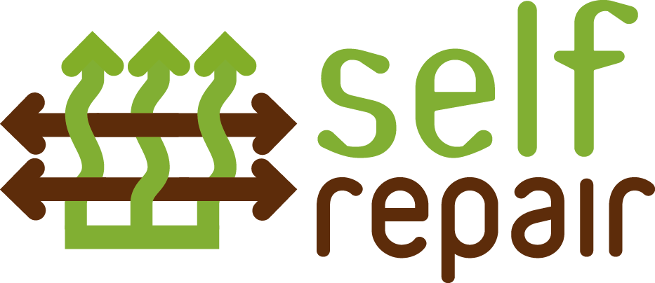 Self Repair